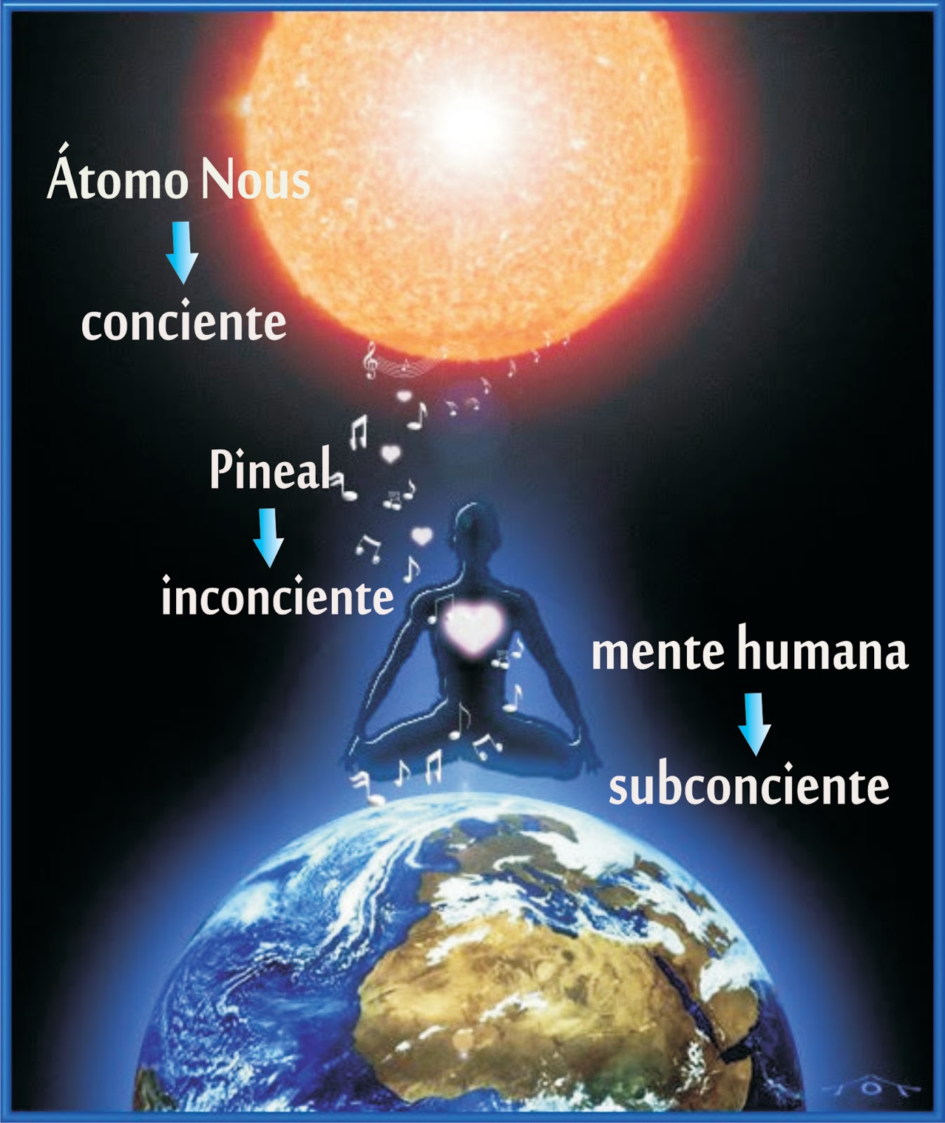 FUENTE TAO LEVTUN IBAGUÉ