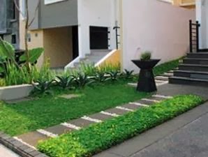 Inilah Jenis-jenis Rumput untuk Taman Minimalis dan Teknik Perawatannya