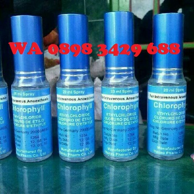 Obat Bius Semprot Hirup Chlorophyll Spray