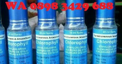 Obat Bius Semprot Hirup Chlorophyll Spray