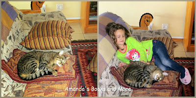More Great Photos and Linky! ~ Amanda's Books and More