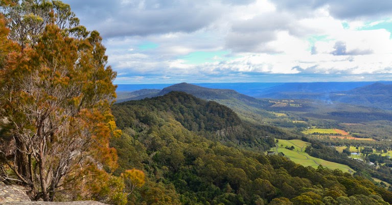 ON THE GRAPEVINE: A Short Trip to the Southern Highlands