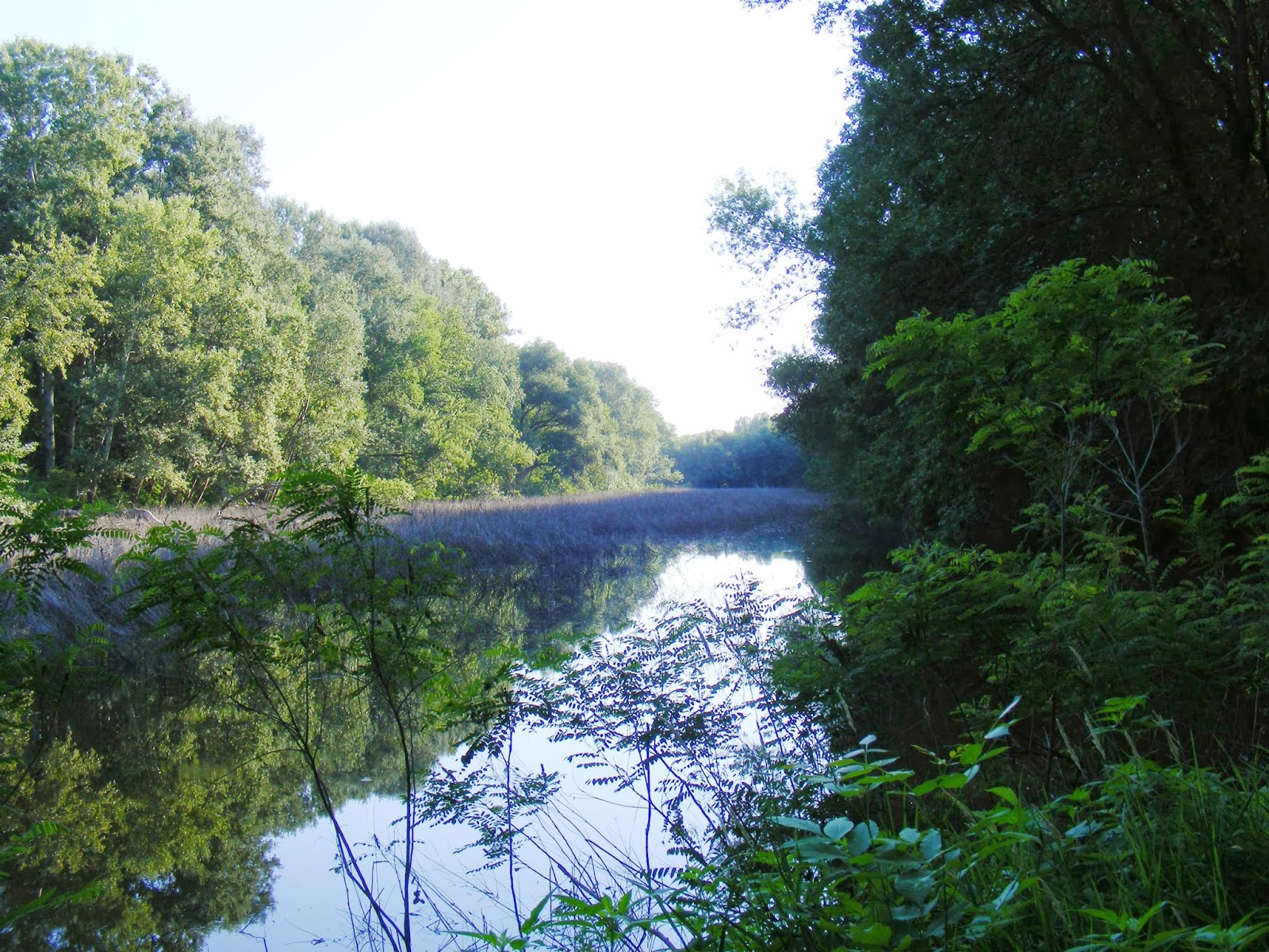 CSODAUTAK: Vetyeháti Holt-Maros (2013)