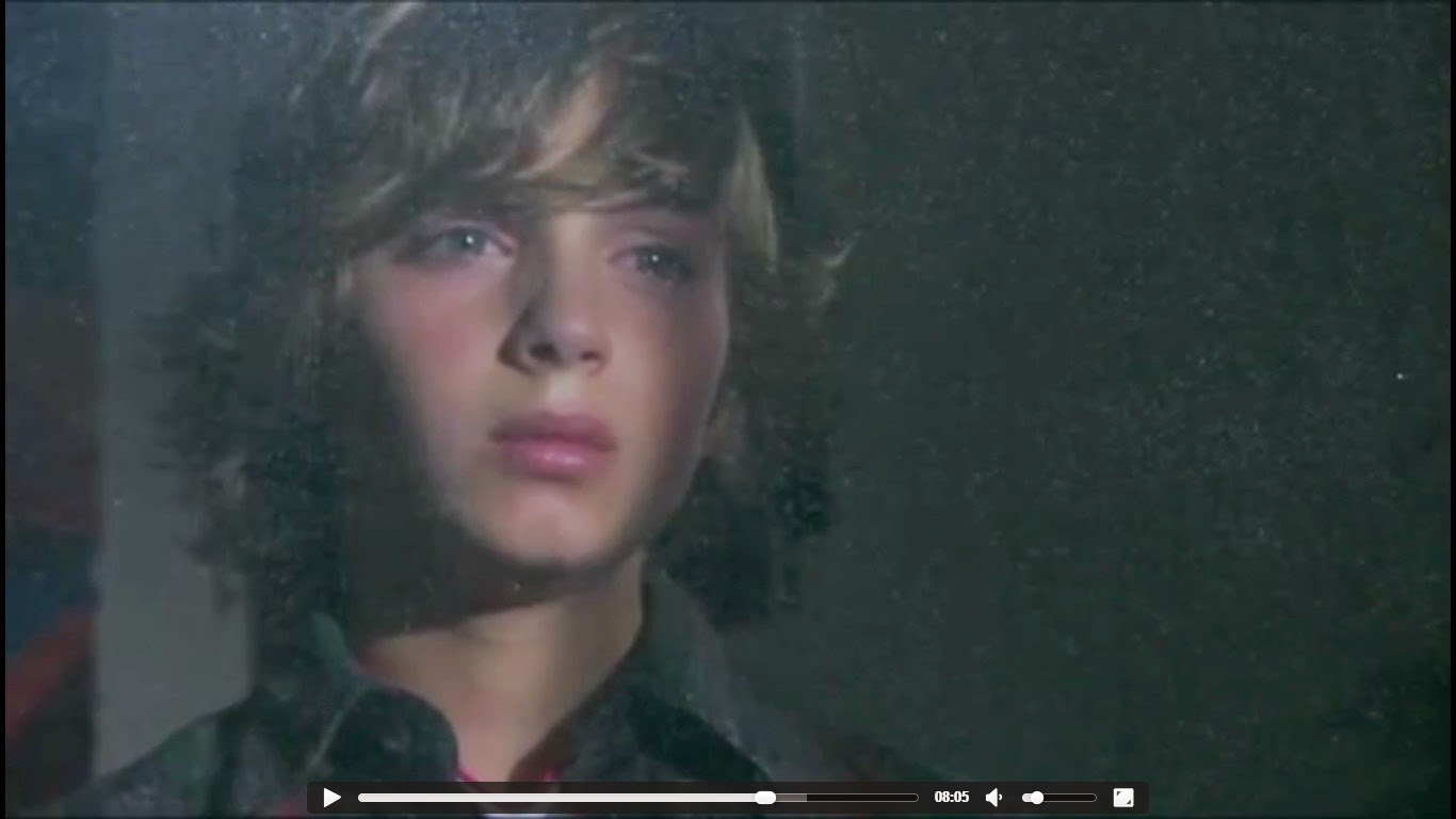 Gay Themed Movies: Brotherly (2008)