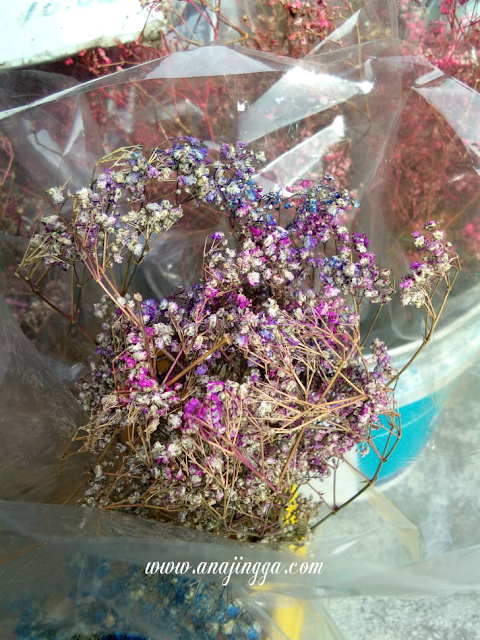 Idea Dekorasi rumah dengan bunga-bunga kering ( dry flowers )