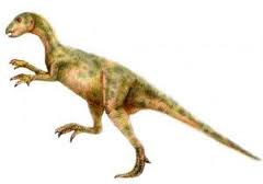 LOS DINOSAURIOS DE MANU: GONGBUSAURUS