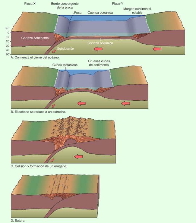 BIOLOGÍA Y GEOLOGÍA 4º ESO: TEMA 2: SUBDUCCIÓN EN IMÁGENES