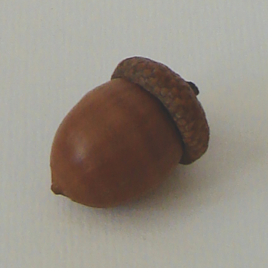 Publisher’s Round-up: Far from the Madding Eggcorn—can Webster's be far ...