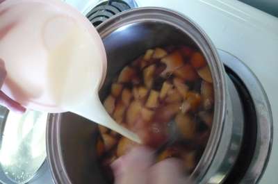 Mennonite Your Way: Pluma Moos or Obst Moos