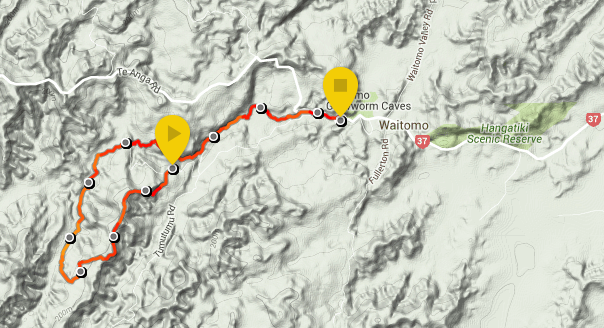Kiwi Trails: Waitomo Trail Run