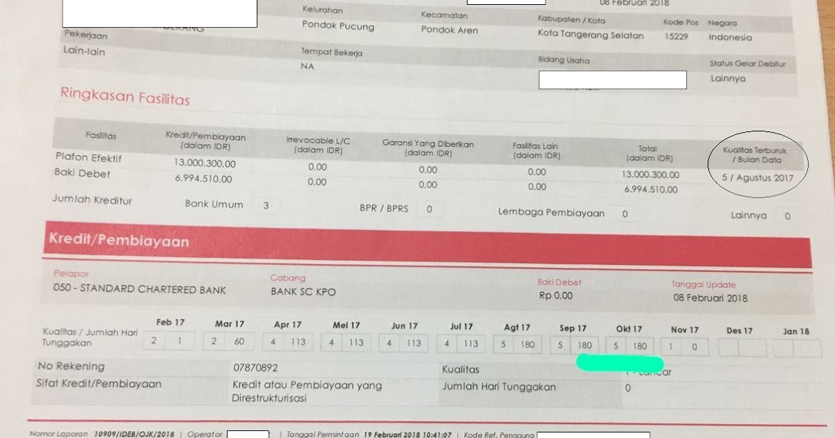 Contoh Print Out SLIK (2)