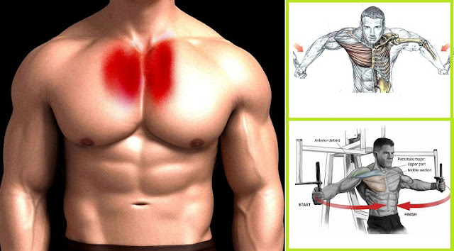 Entre Nós: Building Muscle - Developing Your Inner Pectorals