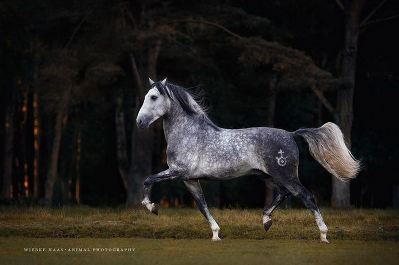 Historia y evolución de la pintura artística : Espectaculares Imágenes ...