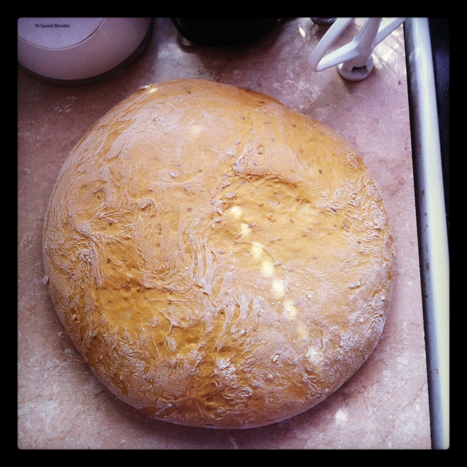 Diamonds and Dogtags: "How can a nation be great if it's bread tastes ...