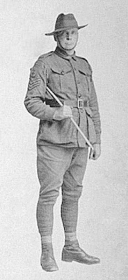 THE PIGOTT FAMILY OF QUEEN'S COUNTY, IRELAND; SOME ANCESTRAL ...