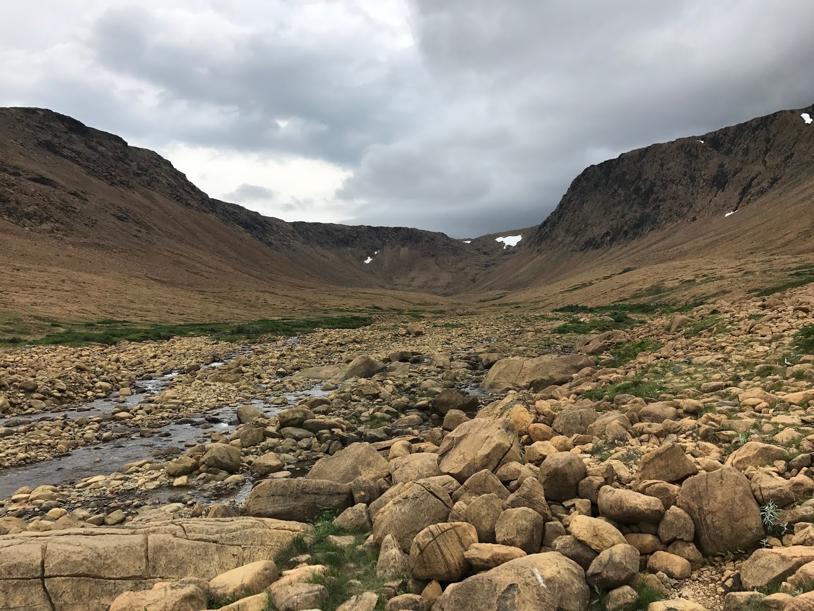 MacGillivray's and Mourning Warblers Blog: 7 July 2017, Tablelands ...