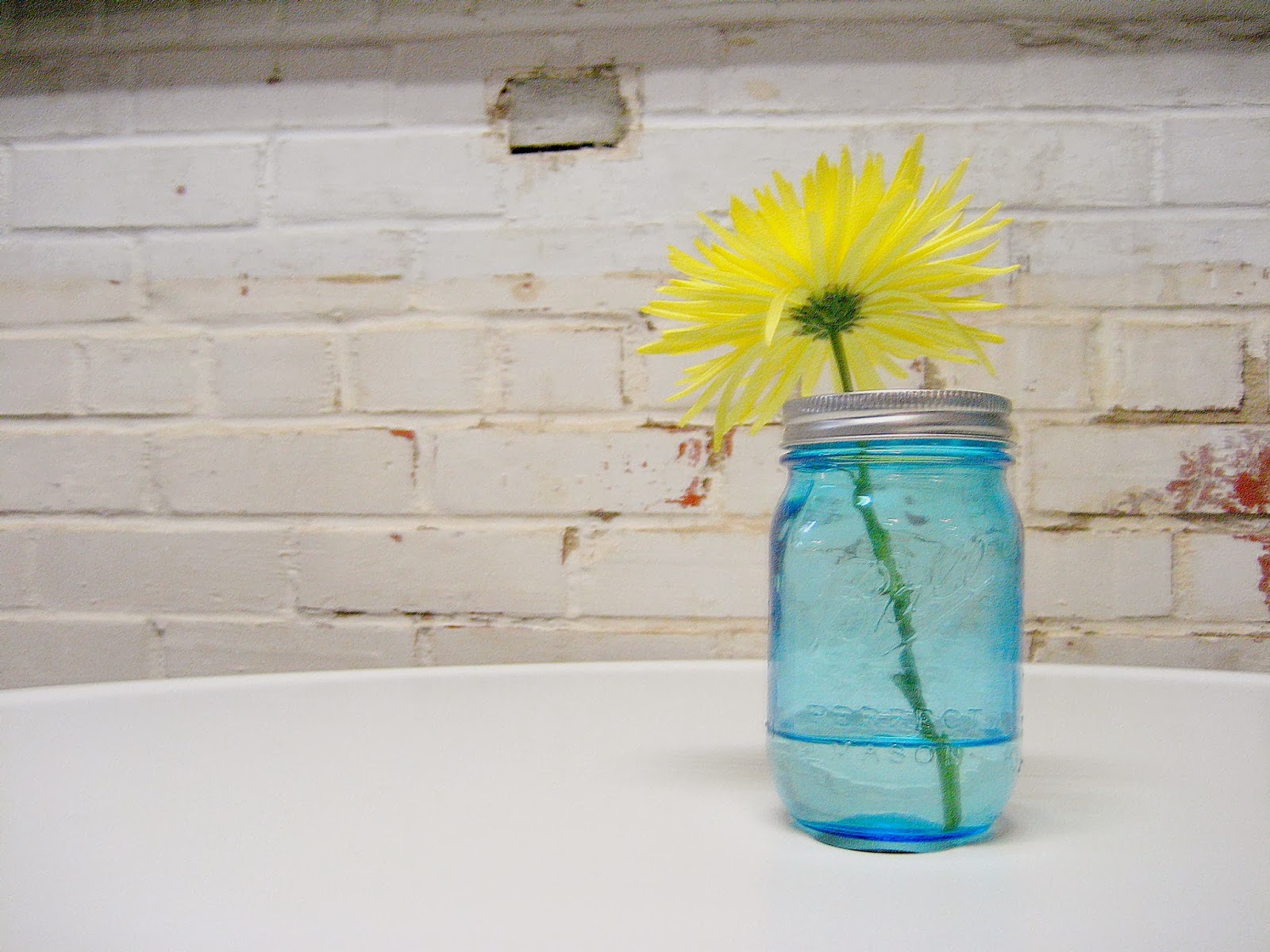 Living Rootless: Lafayette: The Yellow Flower in the Blue Jar