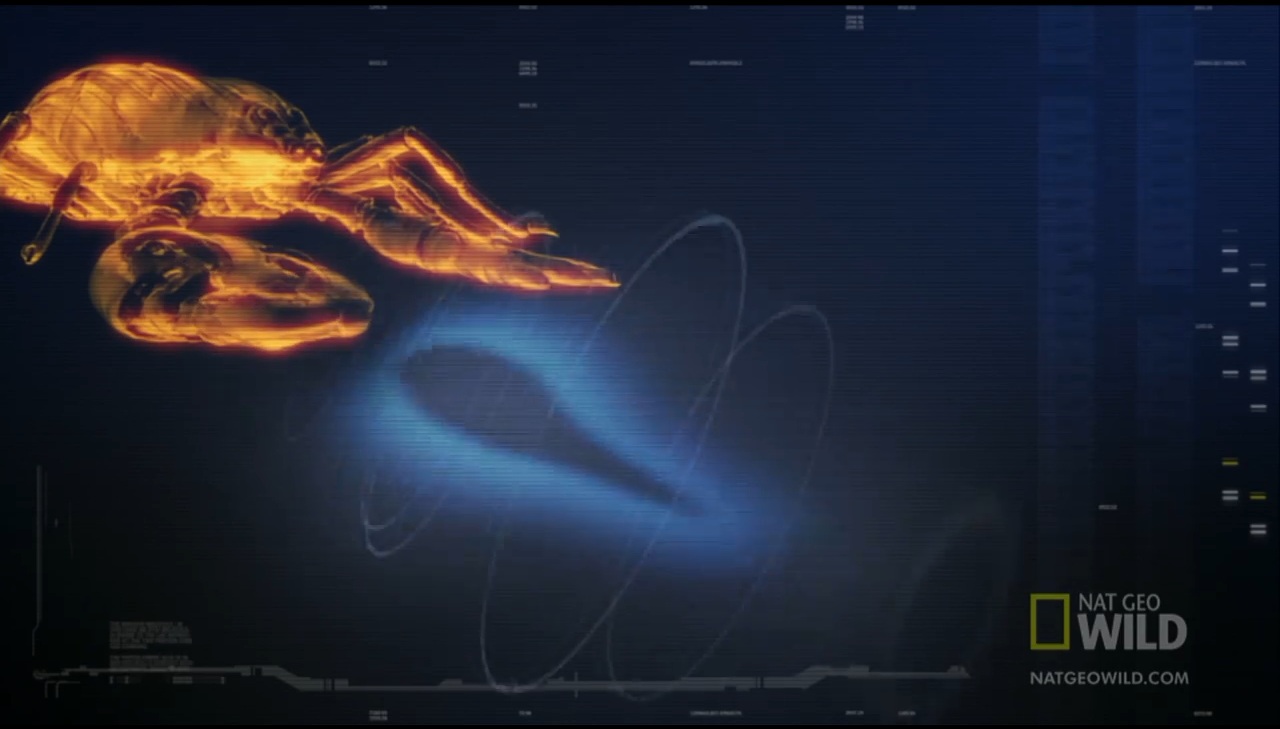 The SeaLifeBase Project: Underwater's Ultimate Weapon