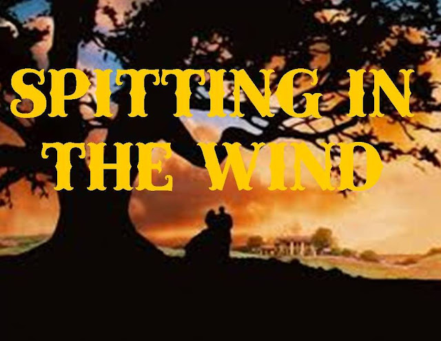 The Art of Being Conflicted: Spitting in The Wind