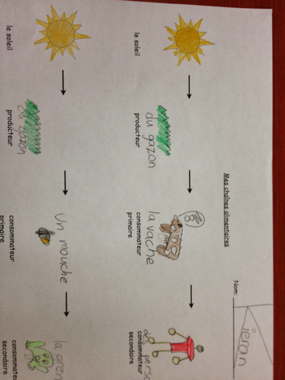 Fantastic Four/Fives in French/Fantastique en 4e/5e en français: Nos ...