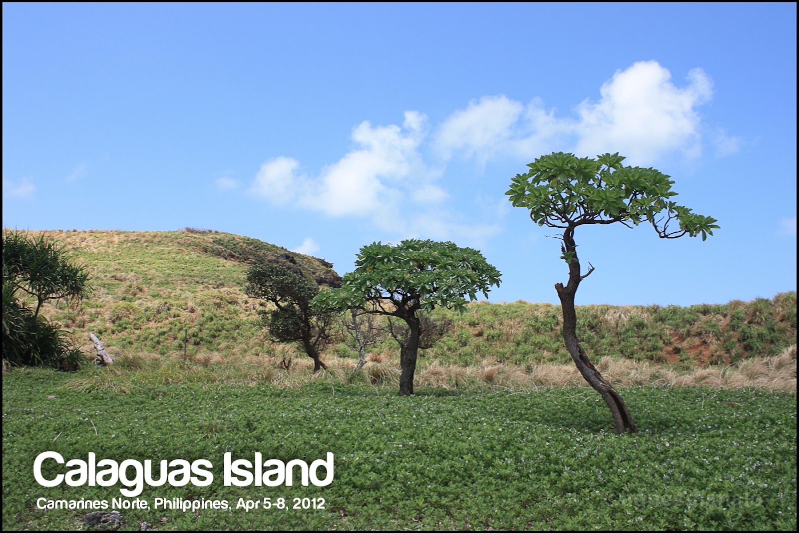 pusang maganda: calaguas island: truly a virgin island