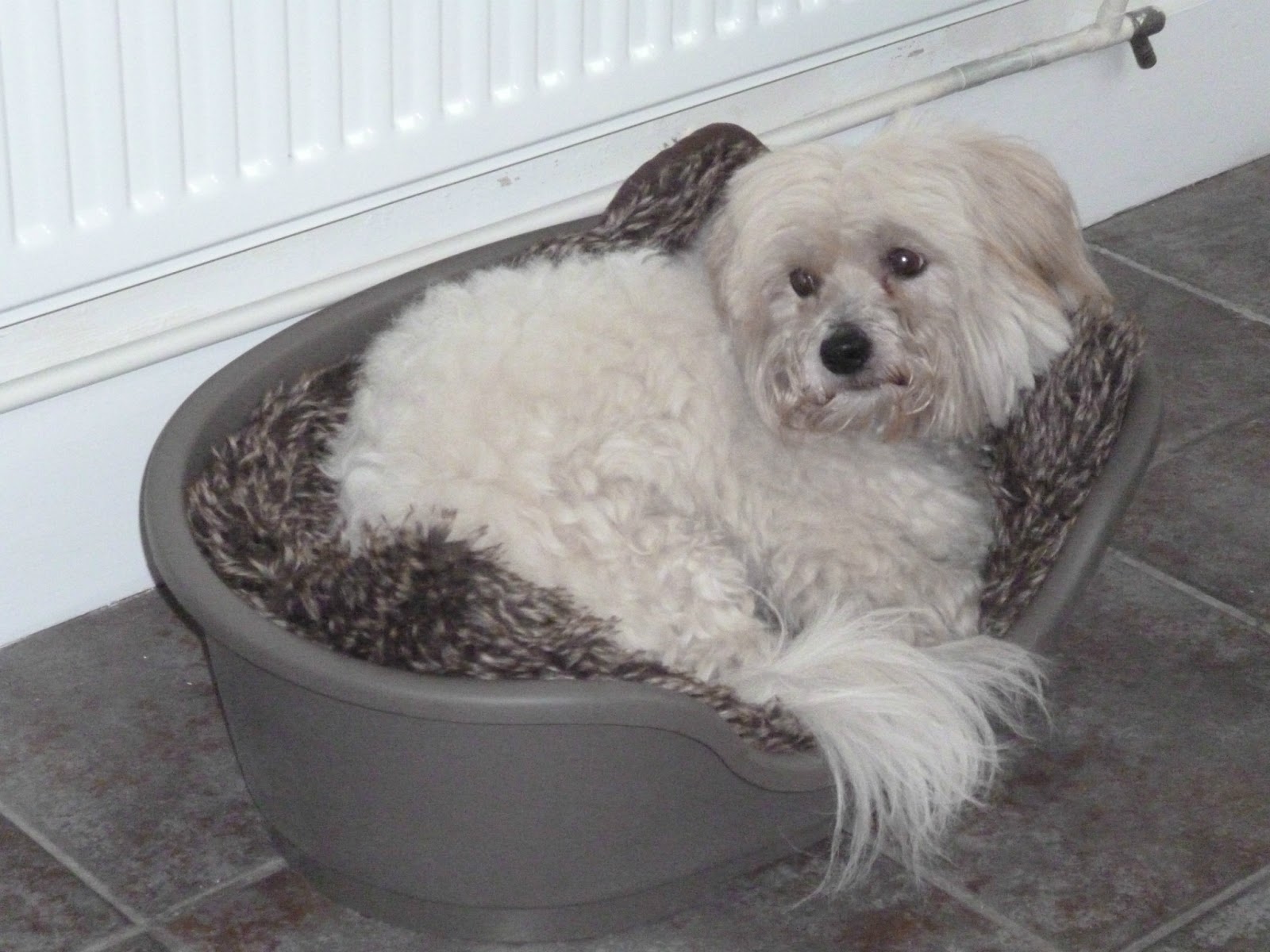 Postcards from Hastings: March 2013