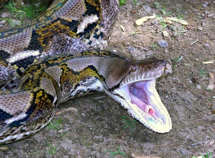 Wildlife Views: November 2014