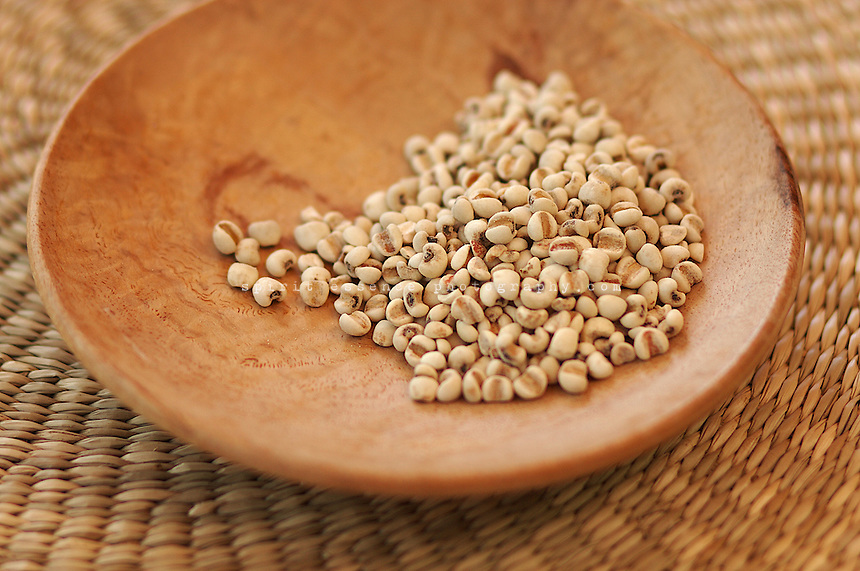 COIX SEED MANUFACTURERS