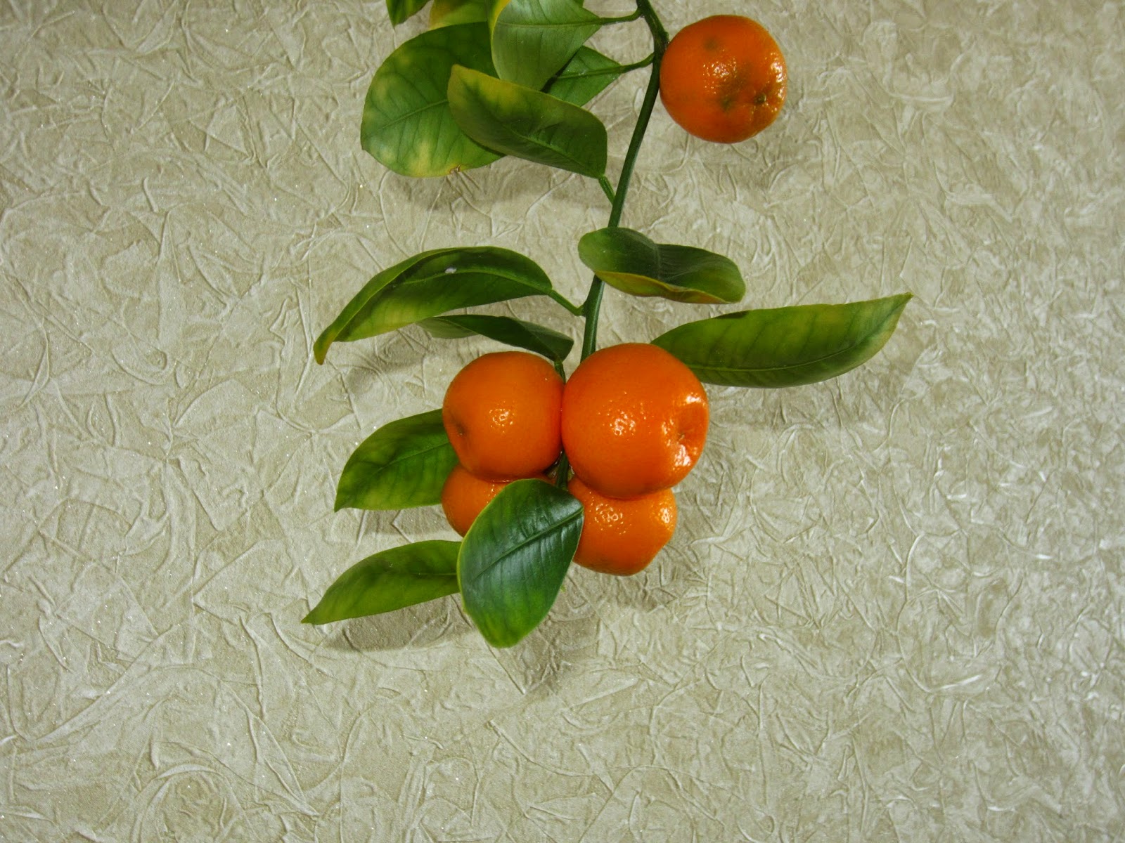 Каламондин (Citrofortunella calamondin) ~ Выращивание цитрусовых дома ...