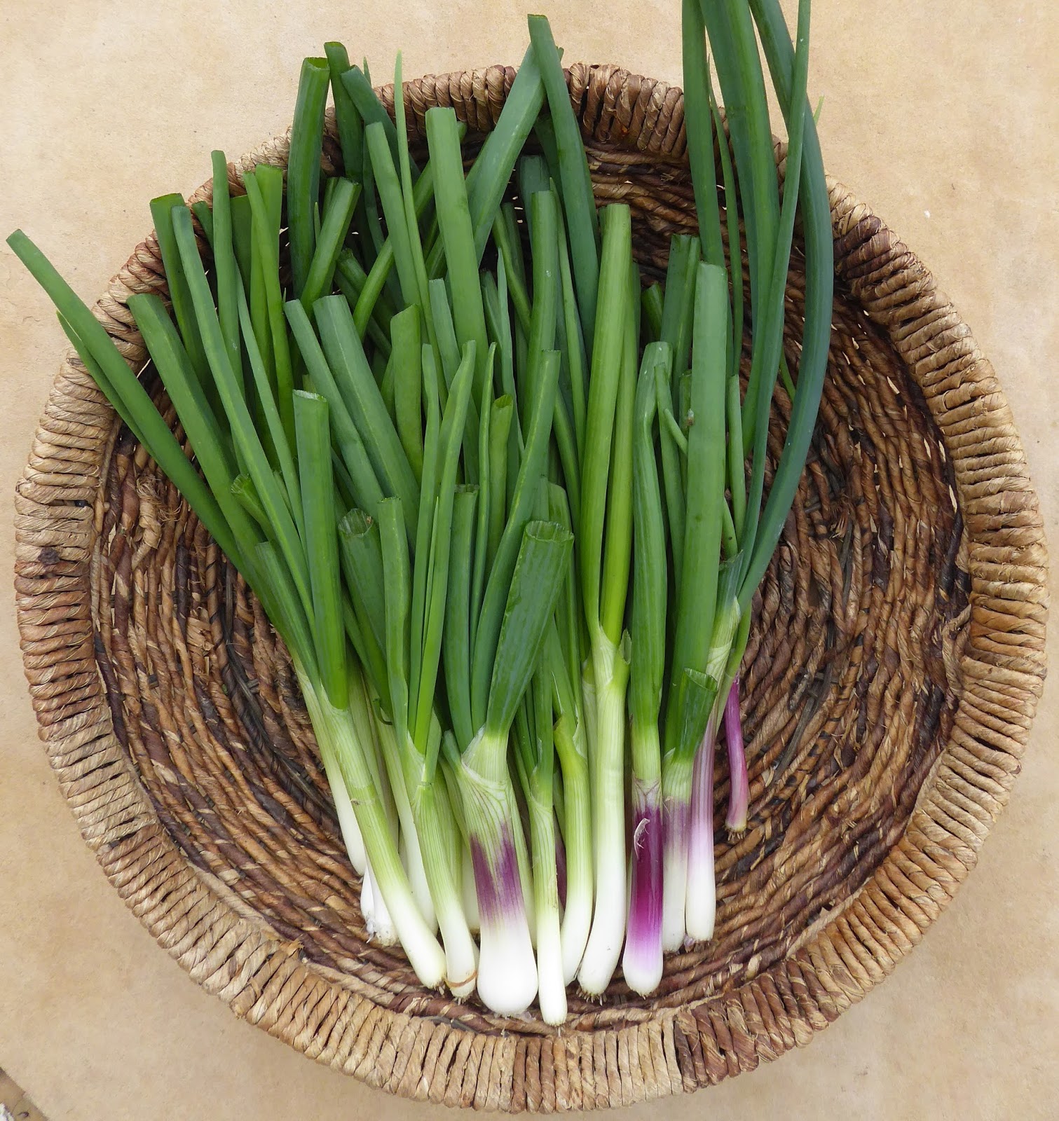 Michelle's Kitchen Notebook: Grilled Spring Onion Salsa