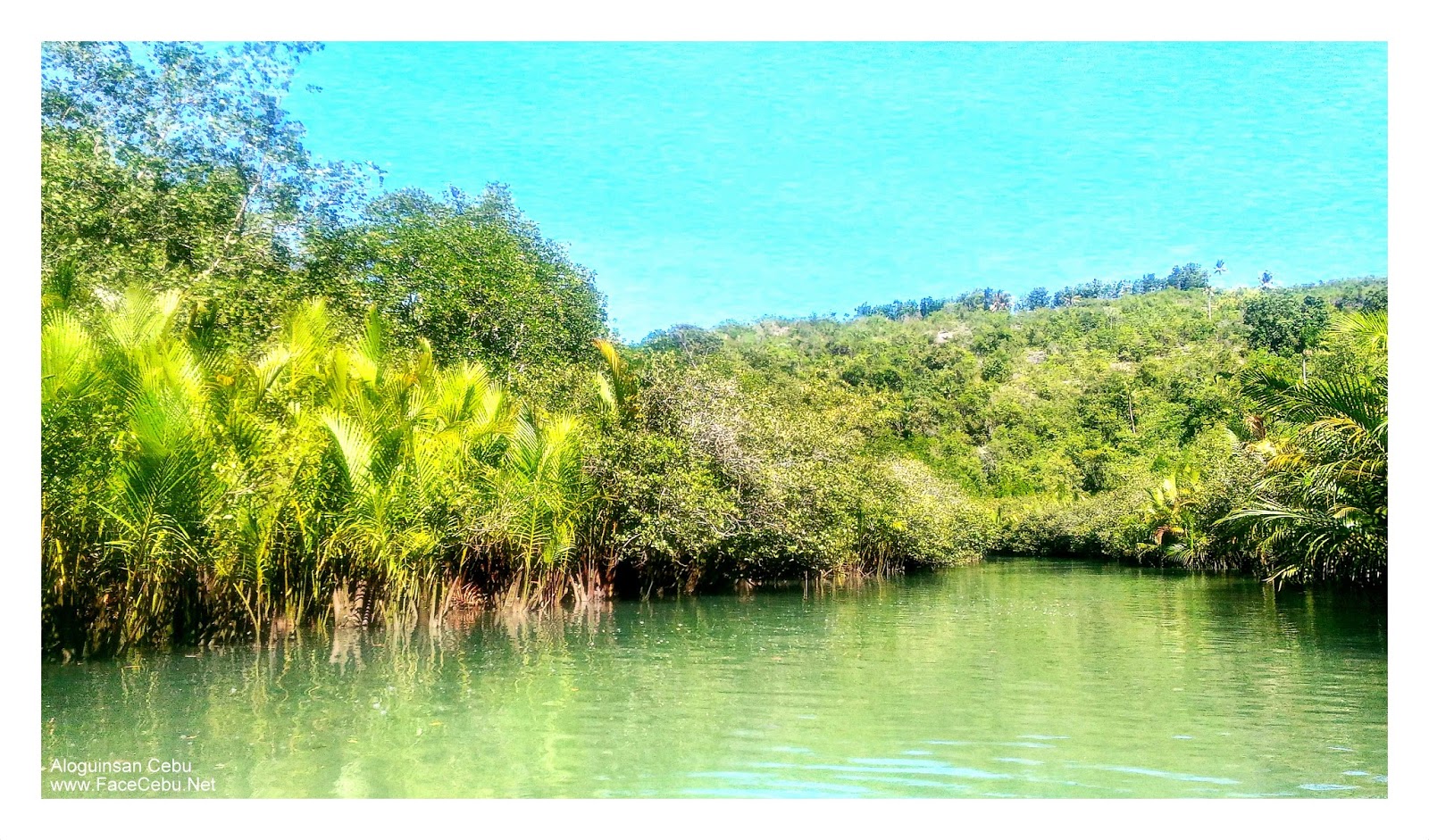 Mini Palawan Of Cebu, Bojo River of Aloguinsan - FaceCebu | Cebu ...