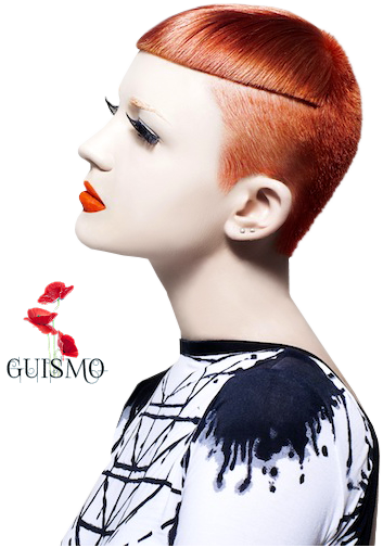 Tube Guismo la passion de créer .: mars 2017