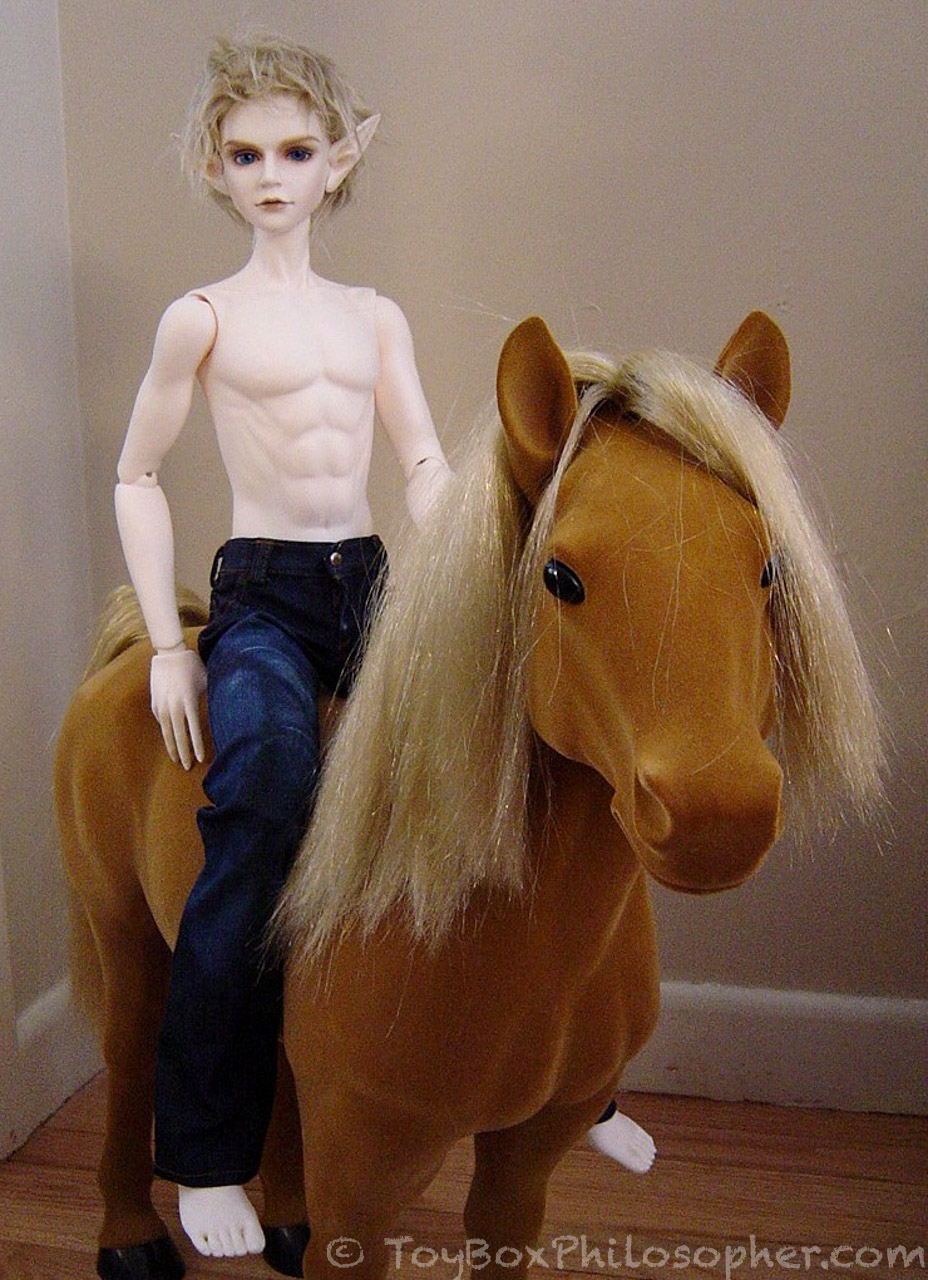 The Toy Box Philosopher: About Me