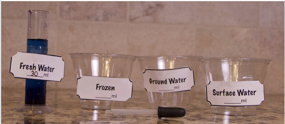 Water Distribution On Earth NGSS Aligned Activities NGSS 5-ESS2-2 ...