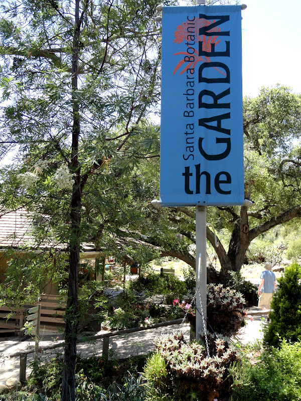 danger garden: September 2012