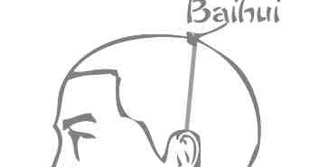 ZuLinQi Acupuntura: 20TM (Tu Mae) Bai hui -Donde convergen los 100 canales-