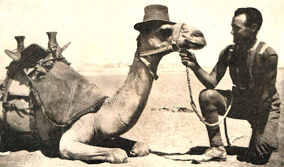 Roads to the Great War: The Imperial Camel Corps