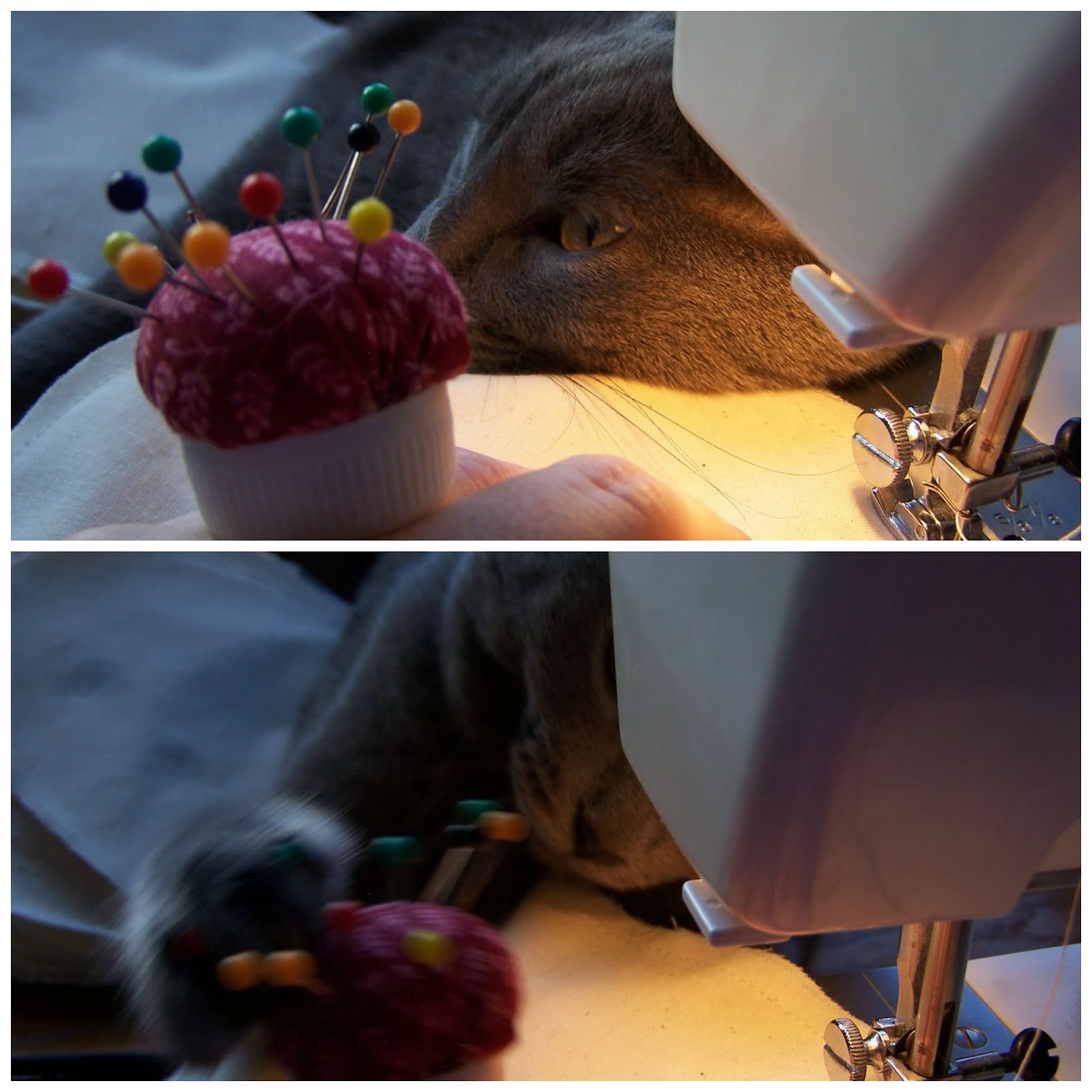 More than just Cross Stitchin'