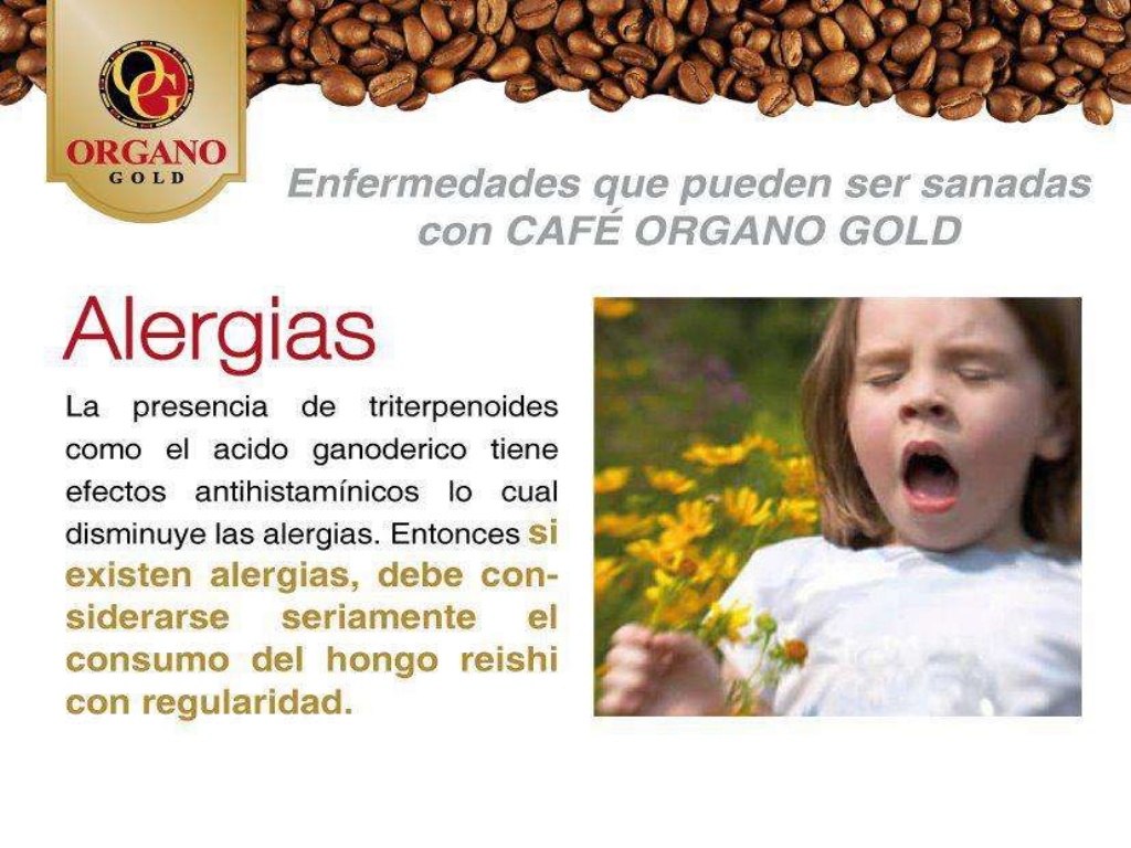 Cafe Organo Gold Saludable con Ganoderma Lucidum.: Alergias