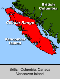 Vancouver Island Big Trees: Forest Creatures: Bears and Cougars At The ...