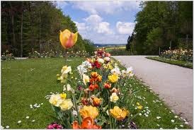 Studi Jerman: Frühling in Deutschland * Musim Semi di Jerman