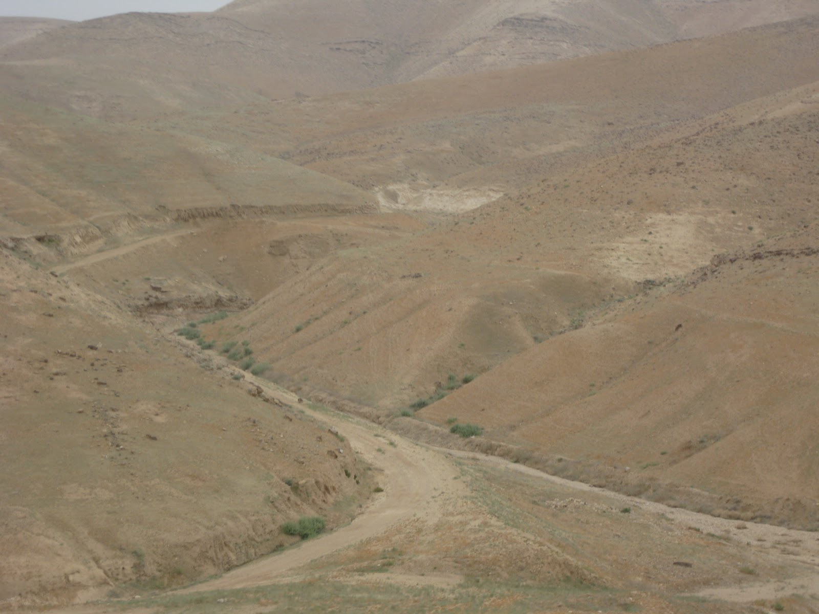 Banquet With The King: With A Strong Hand, The Lord Rescued You From Egypt