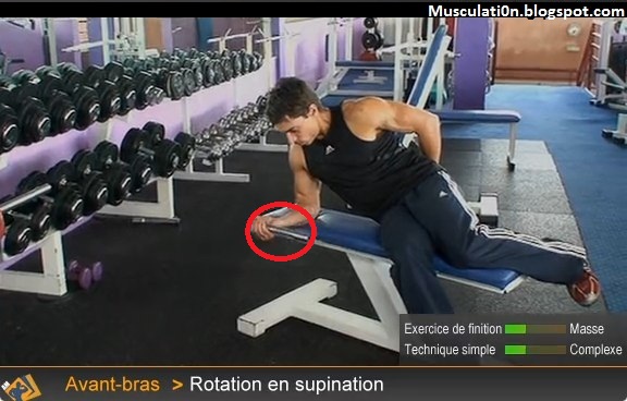 Musculati0n: ROTATIONS EN SUPINATION