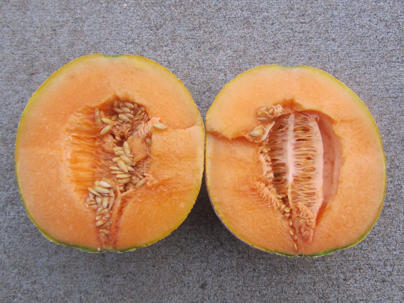 Four Hills of Squash