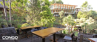 Congo Cafe - Resto and Sollidwood Gallery dago Bandung | Garasi Kuliner