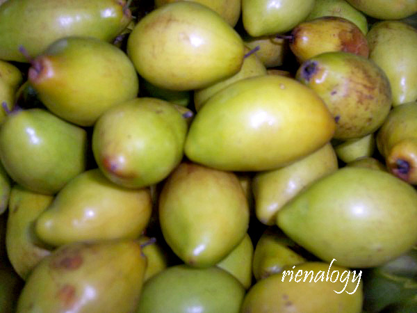 Koromcha | Precious Fruits of Bangladesh | Kamranga