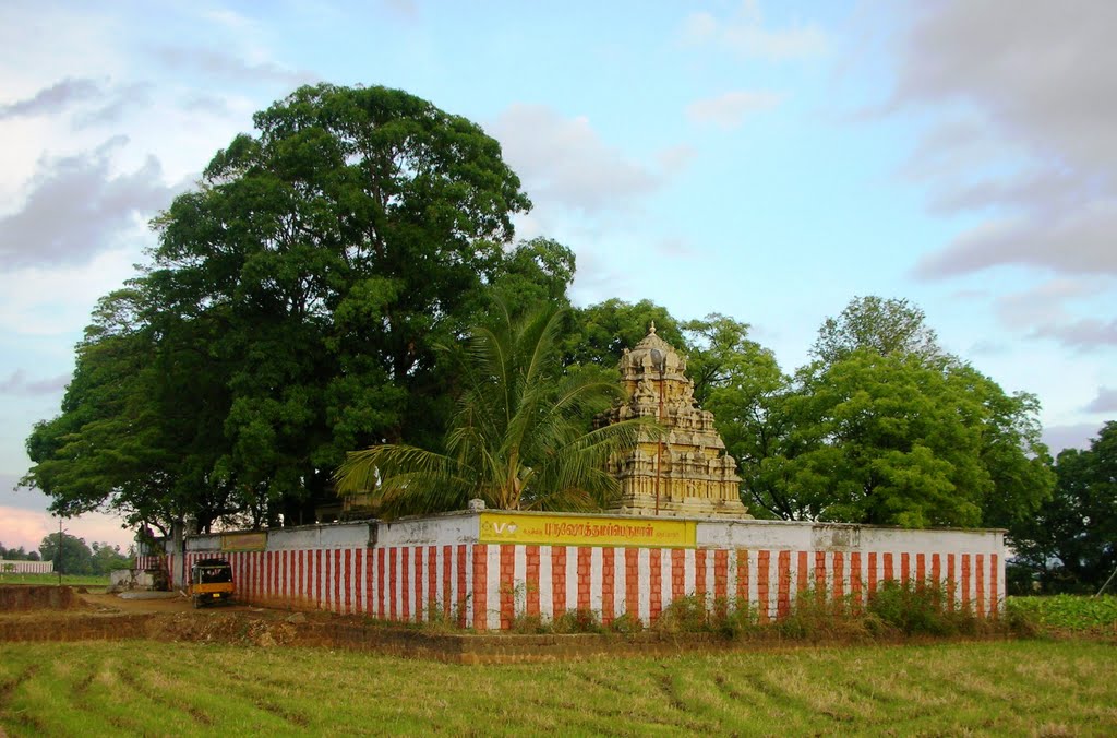 Tamilnadu Tourism: Purushothama Perumal Temple, Ambasamudram, Thirunelveli