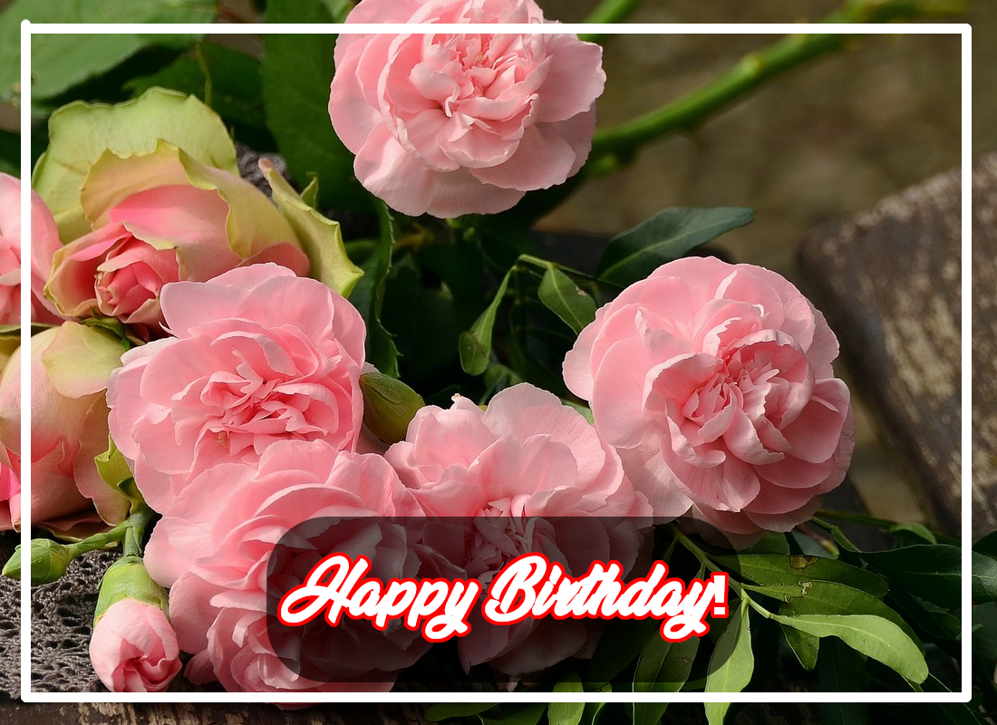 Beautiful Collection of June Birth Flower Rose & Honeysuckle - S 4 You