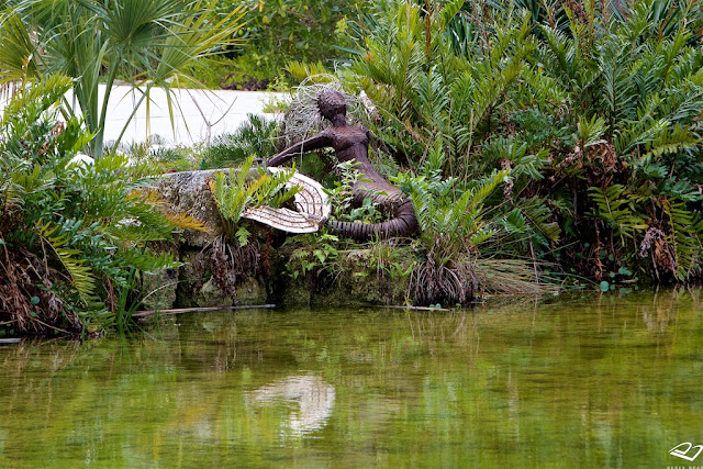 Derek Brad Photography: The Key West Tropical Forest & Botanical Garden