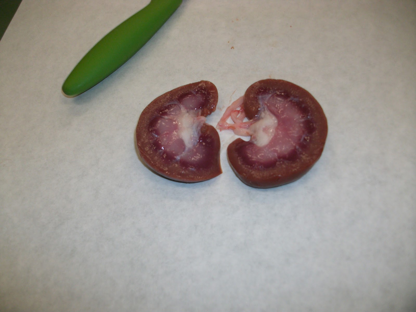 BLOC DE BIOLOGIA-GEOLOGIA: Dissecció de ronyons (3r A,B i C)